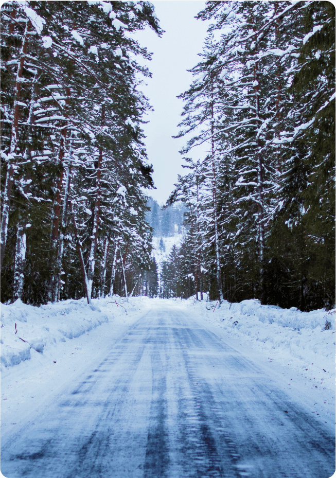 Buy Premium CEAT Car Tyres For UK Roads Buy Premium CEAT Car Tyres For UK Roads
